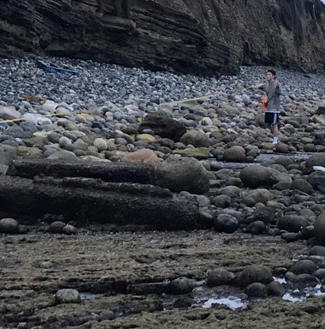 Current lab members - Marine Ecology